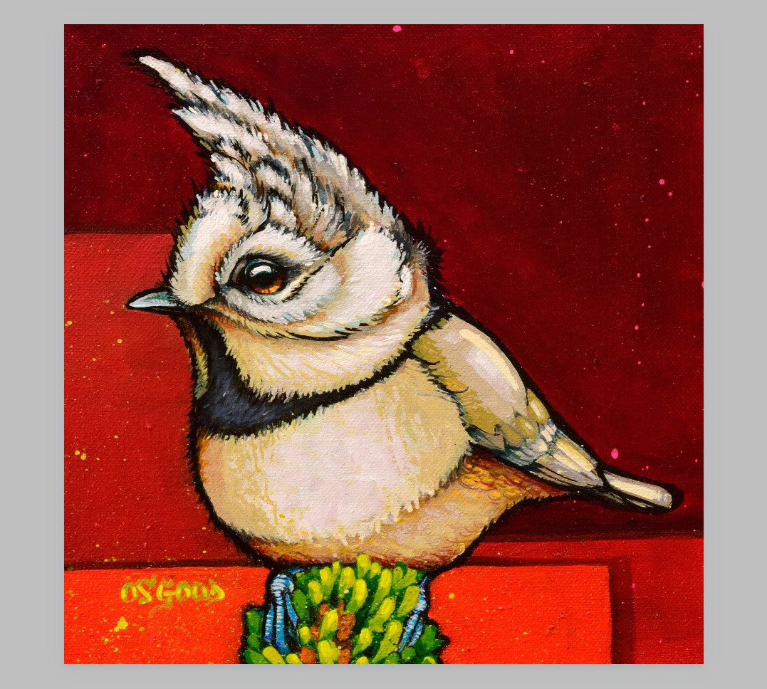 Crested Calculation Fine Art Print – John Osgood