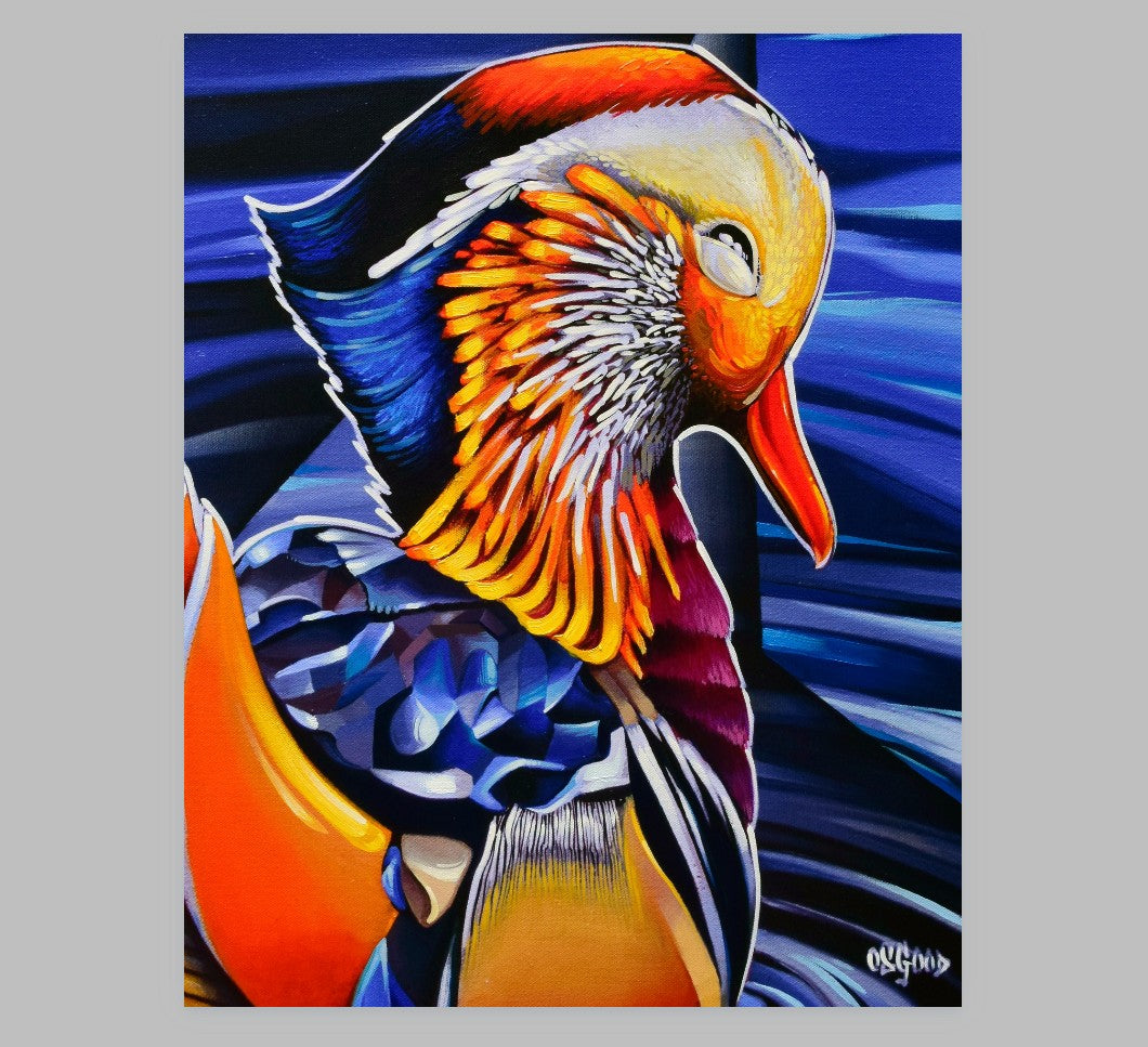 Mandarin Duck Fine Art Print – John Osgood